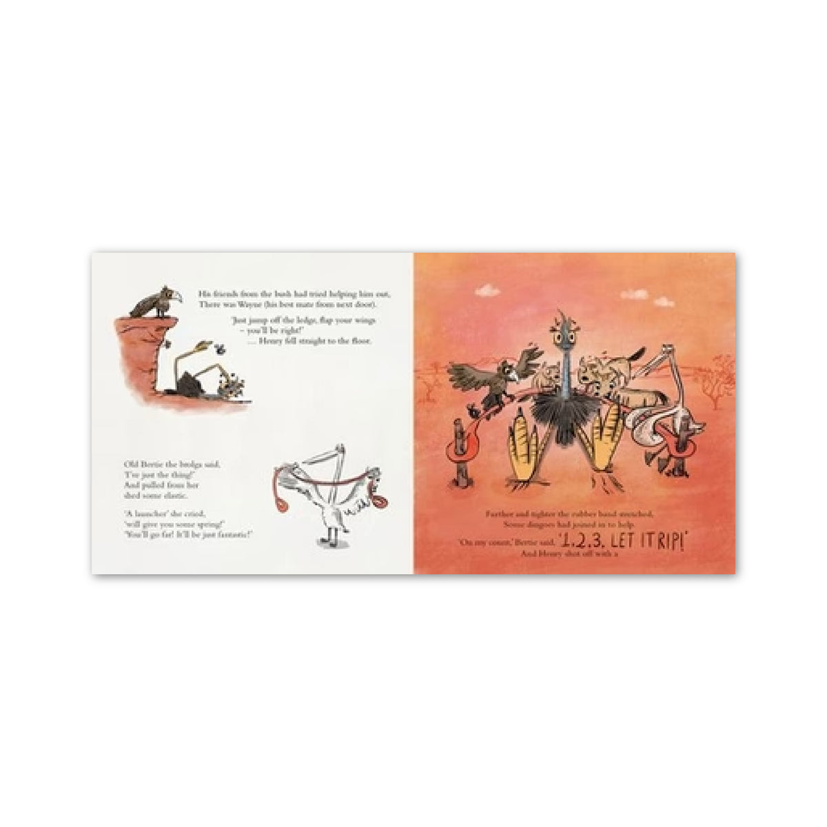 Book - Henry the Flying Emu – RFDS DocShop